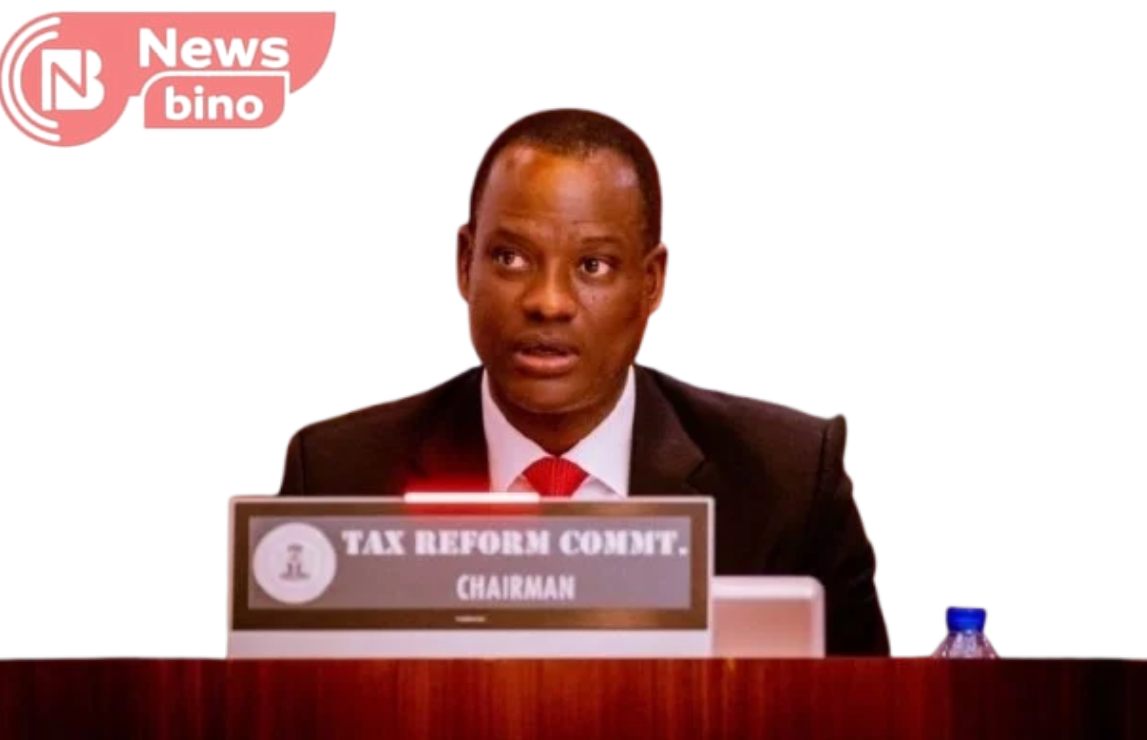 No Account Freezing Over Tax ID – Oyedele Assures - Newsbino.com ...